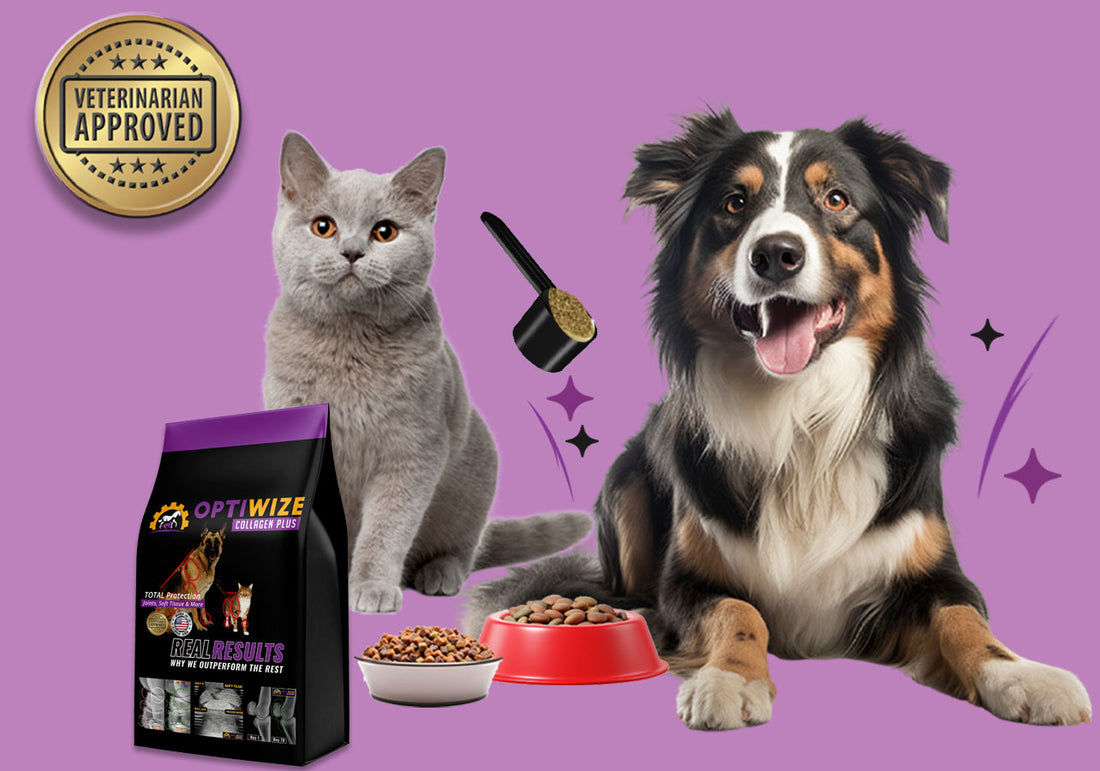 OptiWizePet